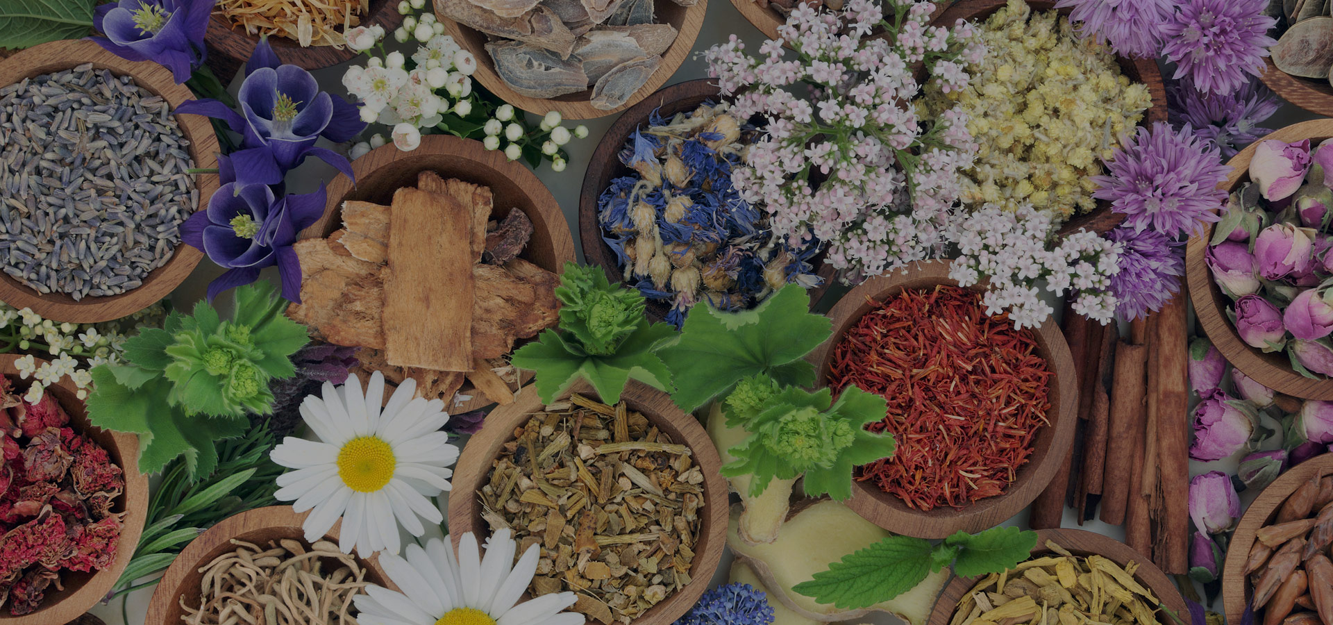 homepage_hero_flowers | Margo Shapiro Bachman