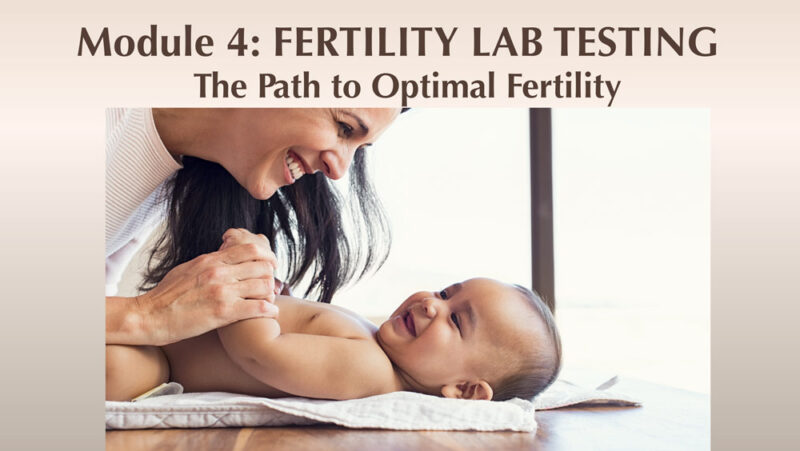 Module 4: Fertility Lab Testing – The Path to Optimal Fertility | Margo ...